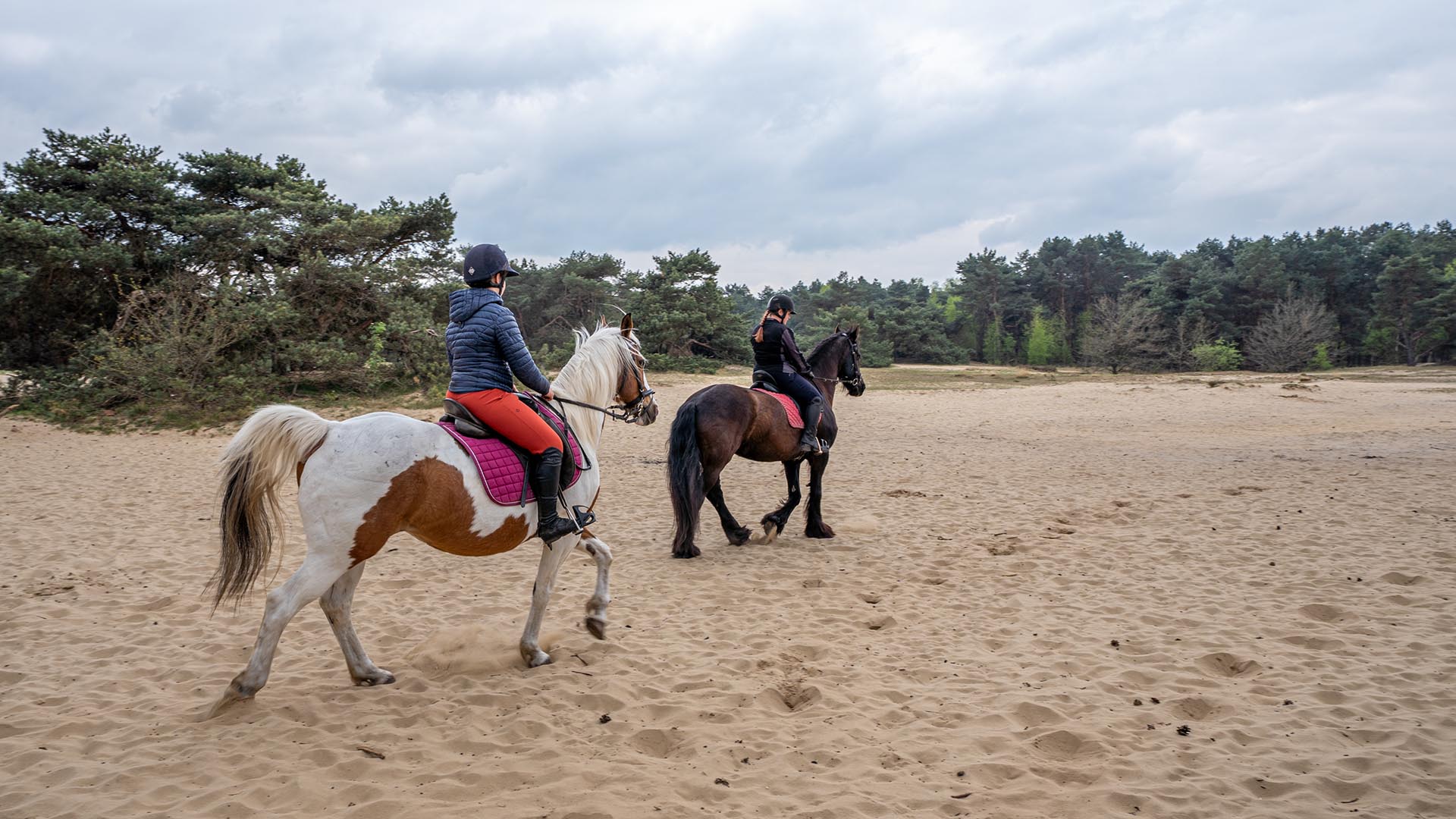 Buitenritten - Stal van Horne Hoeve